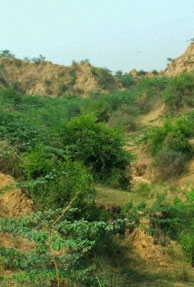 Adventure tourism in Chambal ravines for Games visitors