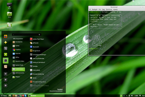 5 Things to Look Forward in Linux Mint 13 'Maya' | siliconindia - Page 5