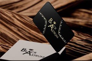 World's Most Expensive Business Cards | siliconindia