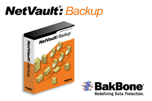 10 Backup Software for Enterprises - Page 8